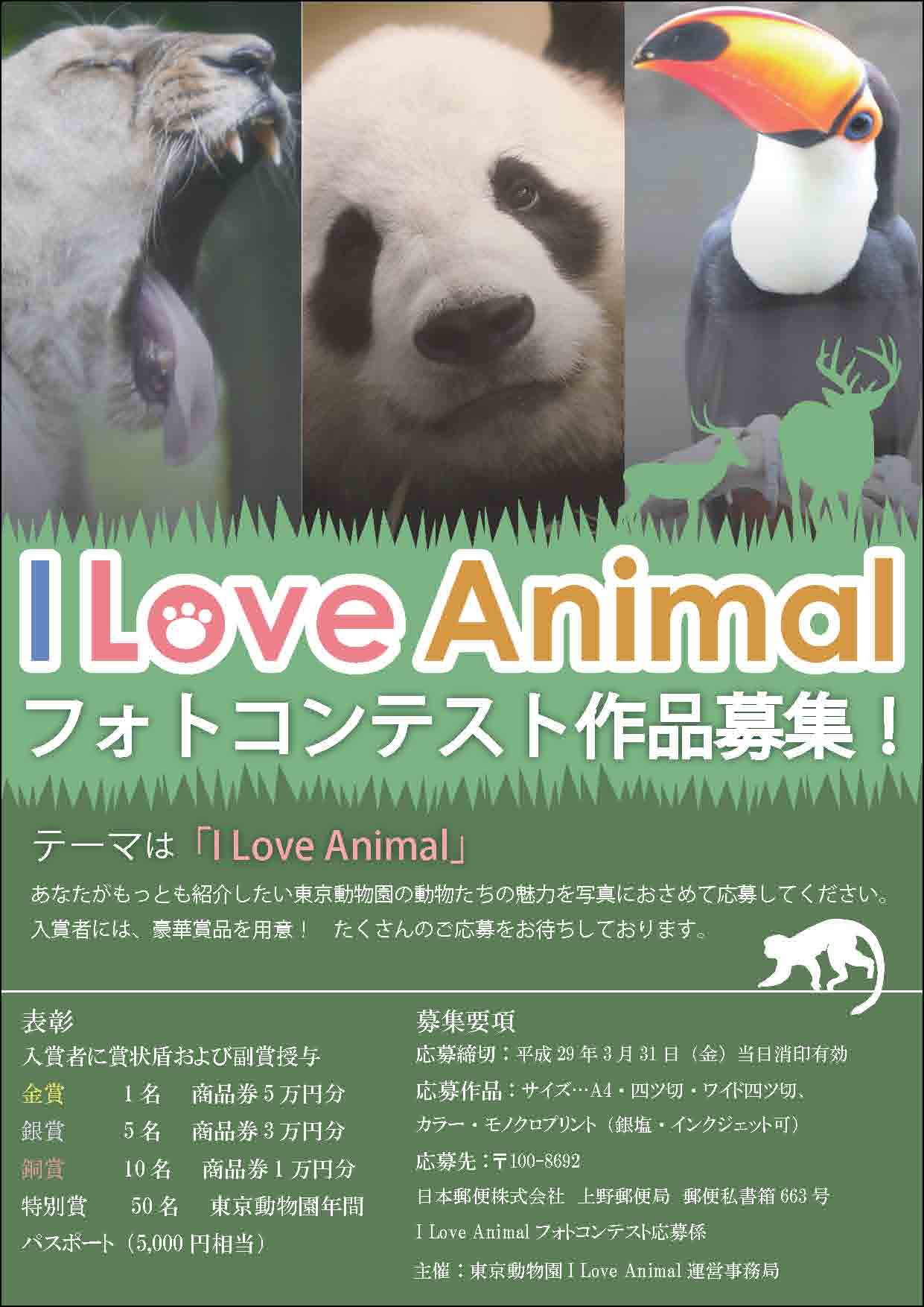 第15回東京アビリンピックとDTP競技 | JAGAT